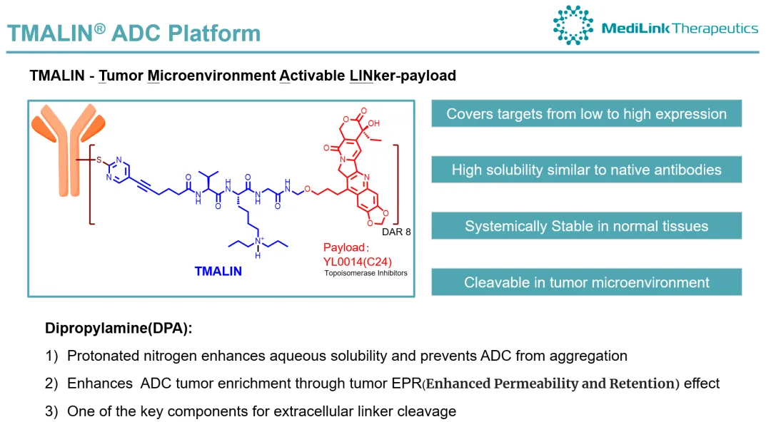 FDA部分暂停BioNTech/宜联生物HER3 ADC I期临床医药新闻-ByDrug-一站式医药资源共享中心-医药魔方