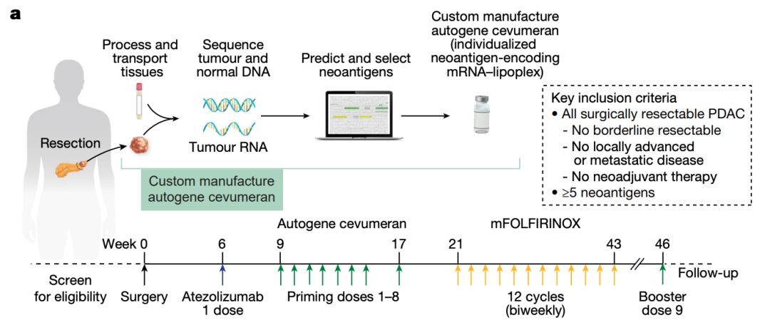 AACR速报：mRNA新抗原疫苗，对胰腺癌患者产生持久免疫反应医药新闻-ByDrug-一站式医药资源共享中心-医药魔方