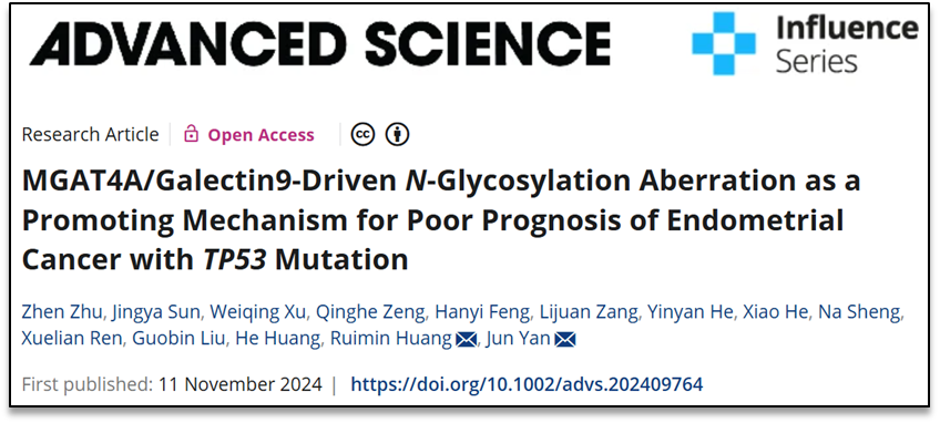 Adv Sci | 上海药物所合作发现异常糖基化导致TP53突变型子宫内膜癌恶变的机制医药新闻-ByDrug-一站式医药资源共享中心-医药魔方