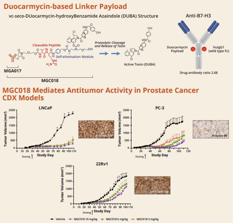 被刷屏的B7-H3，有哪些靶向疗法？医药新闻-ByDrug-一站式医药资源共享中心-医药魔方