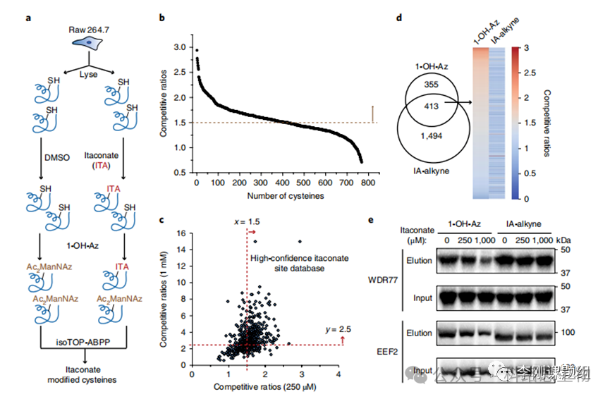 科”普专栏】| ABPP分析蛋白-代谢物相互作用网络---揭示衣康酸抗炎新机制医药新闻-ByDrug-一站式医药资源共享中心-医药魔方