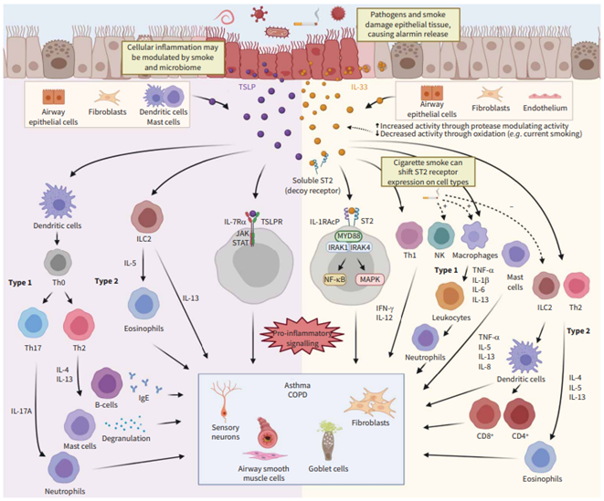 走出COPD新药研发“死亡谷”：赛诺菲解锁炎症性疾病新“地图”医药新闻-ByDrug-一站式医药资源共享中心-医药魔方