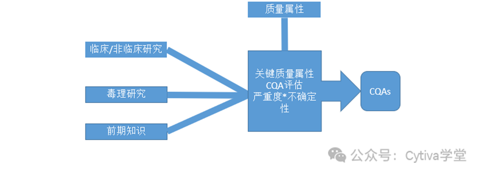 浅谈CHO细胞培养工艺表征医药新闻-ByDrug-一站式医药资源共享中心-医药魔方