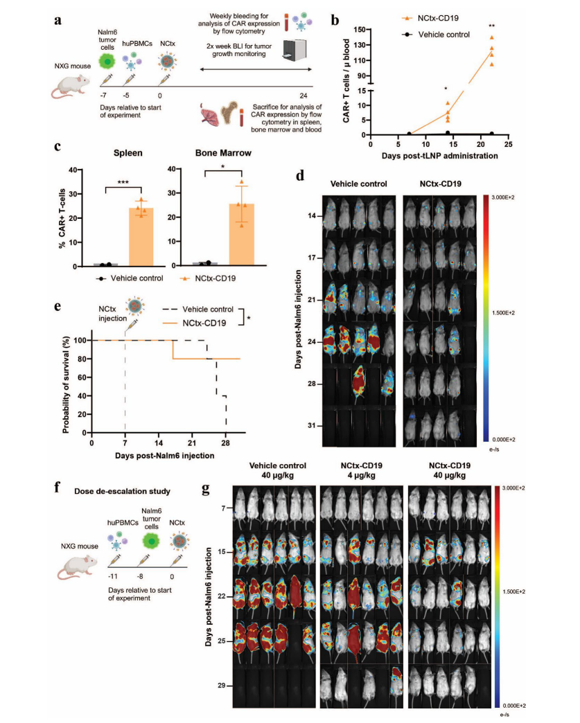 CD3/CD7双靶向体内CAR-T疗法新突破医药新闻-ByDrug-一站式医药资源共享中心-医药魔方