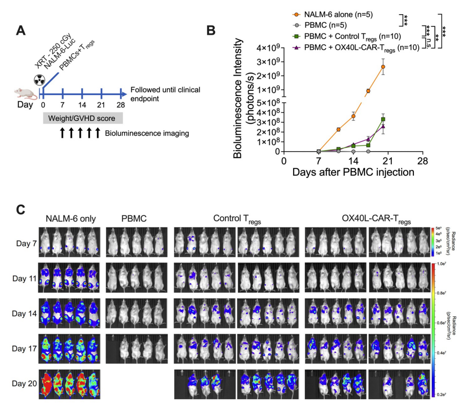 Science子刊：另辟蹊径，CART细胞治疗移植物抗宿主病 (GVHD)医药新闻-ByDrug-一站式医药资源共享中心-医药魔方