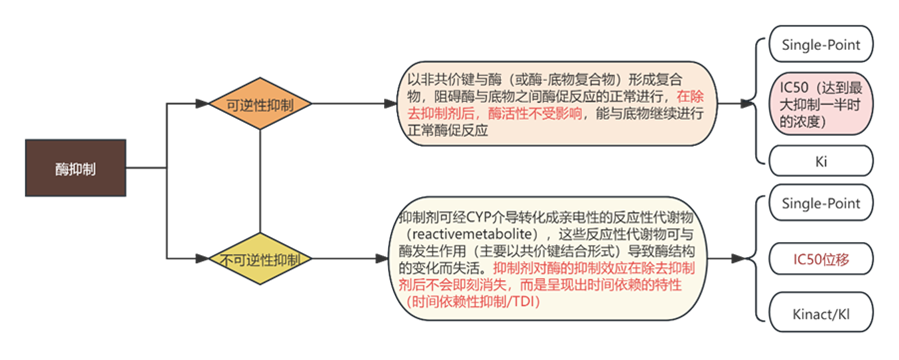 IPHASE/汇智和源 药物代谢酶CYP450 IC50抑制体外评估模型解析医药新闻-ByDrug-一站式医药资源共享中心-医药魔方