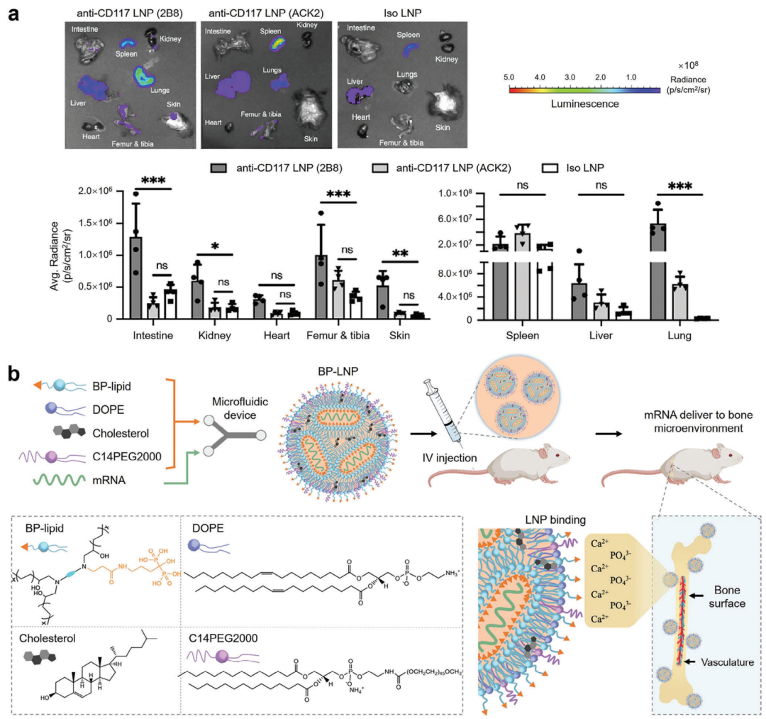 调节脂质纳米颗粒（LNP），将 RNA 靶向递送至肝外器官医药新闻-ByDrug-一站式医药资源共享中心-医药魔方