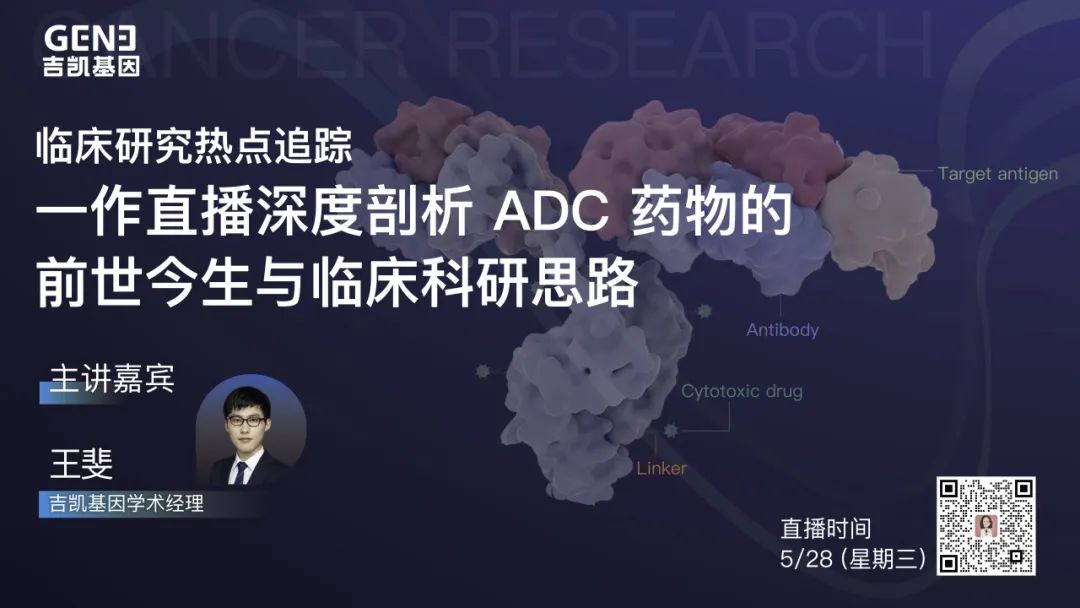 ADC领域新发现：解开T-DXd诱发间质性肺炎之谜医药新闻-ByDrug-一站式医药资源共享中心-医药魔方