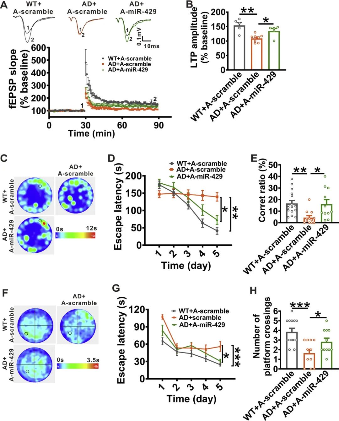 APSB（IF14+）丨抑制miR-429-3p可有效改善AD模型小鼠的认知和突触功能医药新闻-ByDrug-一站式医药资源共享中心-医药魔方