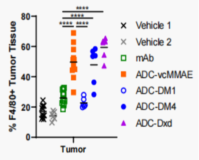 研发速览 | 常用ADC载荷诱导免疫原性细胞死亡能力比较医药新闻-ByDrug-一站式医药资源共享中心-医药魔方