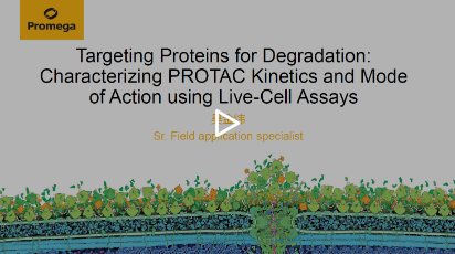 技术 | 活细胞中PROTAC和分子胶靶向降解的实时监测方法医药新闻-ByDrug-一站式医药资源共享中心-医药魔方