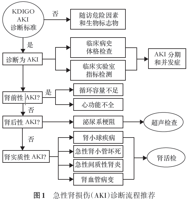 中国急性肾损伤临床实践指南（2023年版）医药新闻-ByDrug-一站式医药资源共享中心-医药魔方