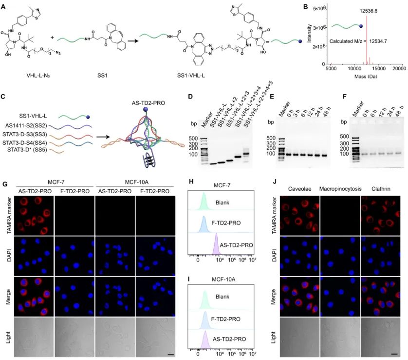 “四面体”PROTAC：大显身手医药新闻-ByDrug-一站式医药资源共享中心-医药魔方