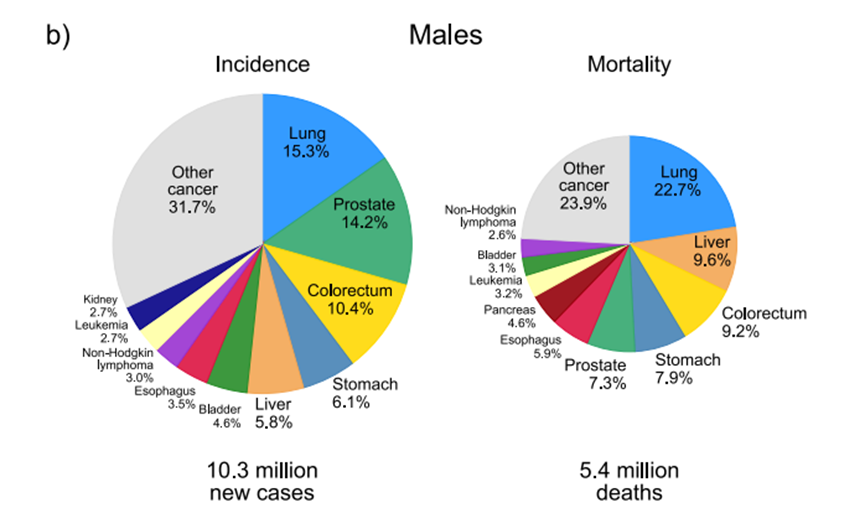 神刊CA：2022年全球最新癌症统计报告出炉医药新闻-ByDrug-一站式医药资源共享中心-医药魔方