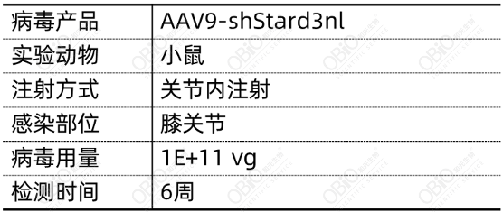 【on-target】AAV感染骨骼 | 血清型·启动子·注射用量 | 一篇就GO了！医药新闻-ByDrug-一站式医药资源共享中心-医药魔方