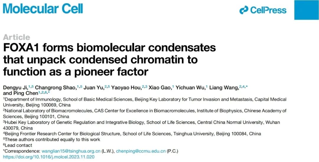 基础医学院陈萍教授团队《Mol Cell》揭示FOXA1通过形成生物分子凝聚体行使先锋功能的分子机制医药新闻-ByDrug-一站式医药资源共享 ...