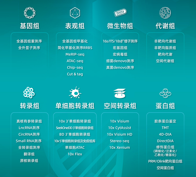 项目文章Adv Sci (IF14.3) | 脂质体纳米药物Felodipine@LND可改善AD医药新闻-ByDrug-一站式医药资源共享中心-医药魔方