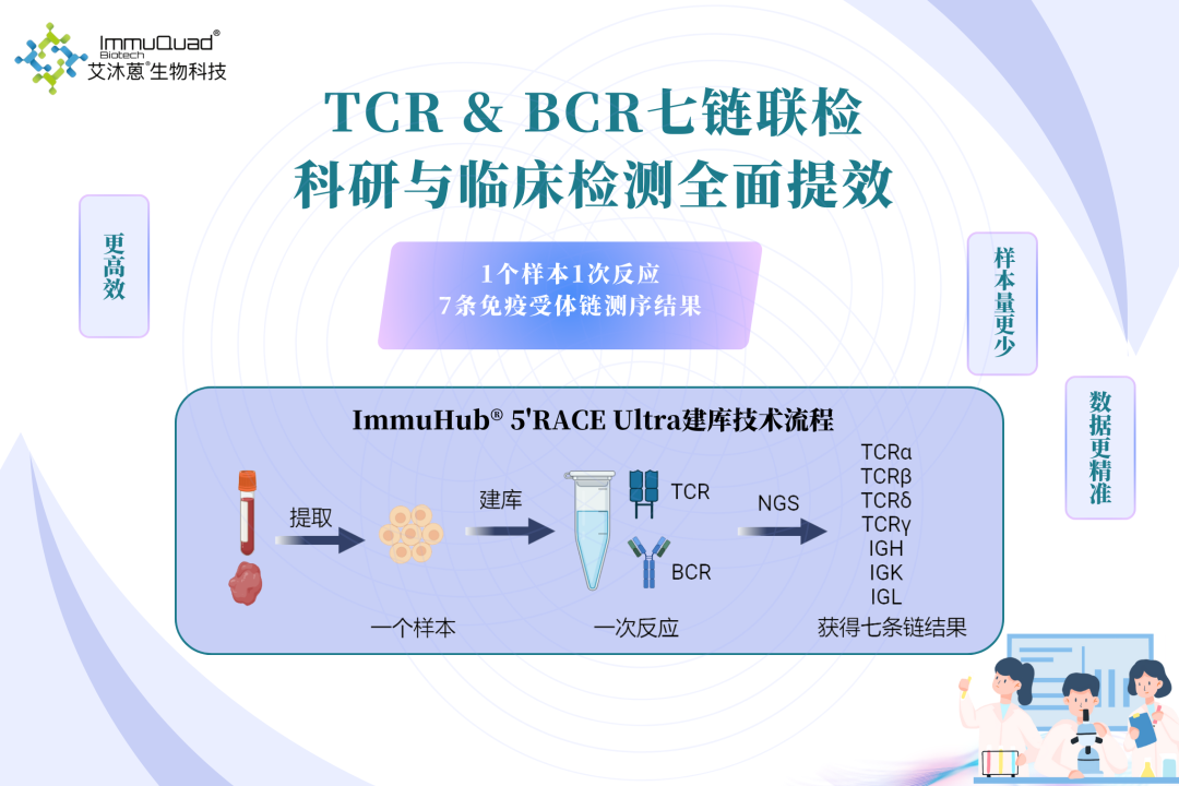 ImmuHub®免疫组测序服务焕新体验｜TCR & BCR七链联检，科研与临床检测全面提效医药新闻-ByDrug-一站式医药资源共享中心-医药魔方