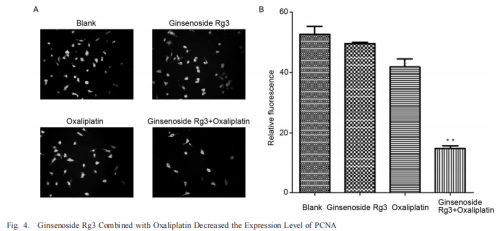 人参皂苷Rg3联合奥沙利铂通过下调PCNA和CyclinD1，抑制肝癌细胞增殖，促进细胞凋亡医药新闻-ByDrug-一站式医药资源共享中心-医药魔方