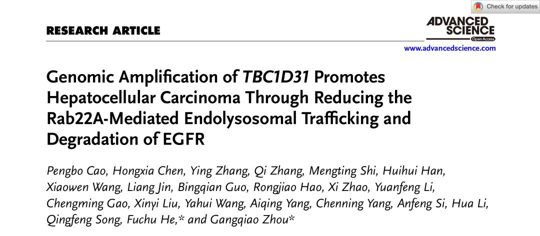 Adv Sci（IF14.3）丨TBC1D31的基因组扩增促进HCC进展的分子机制医药新闻-ByDrug-一站式医药资源共享中心-医药魔方