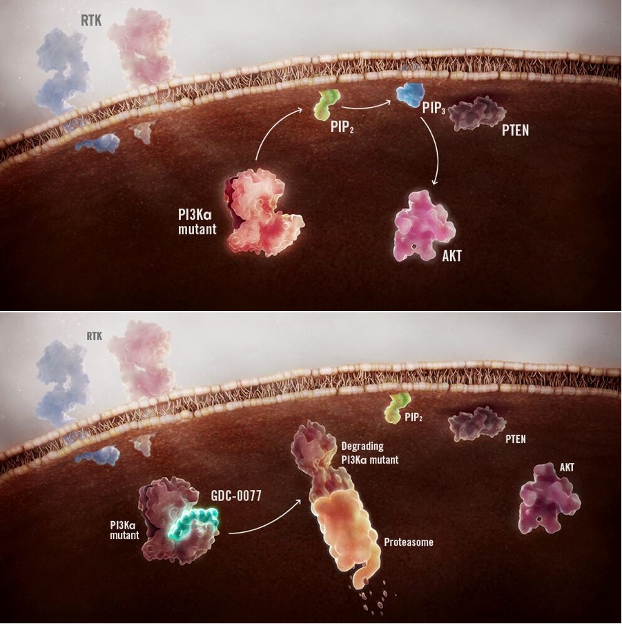 国内首款！罗氏PI3Kα抑制剂「伊那利塞」在华申报上市医药新闻-ByDrug-一站式医药资源共享中心-医药魔方