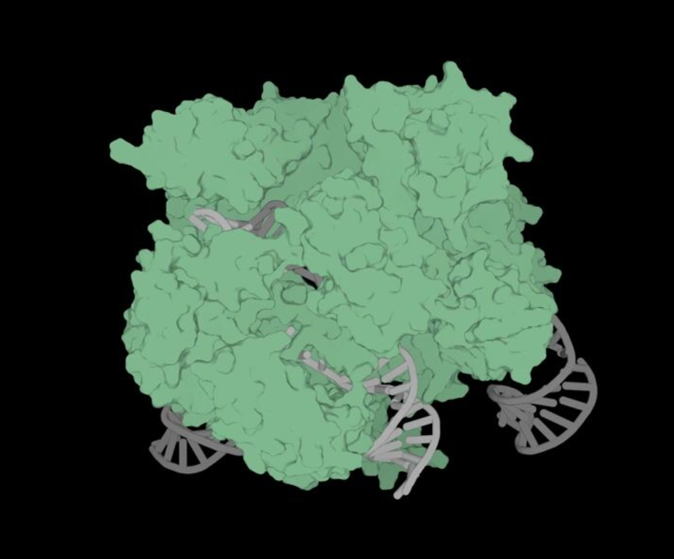 全球首款AI生成的基因编辑器发布医药新闻-ByDrug-一站式医药资源共享中心-医药魔方