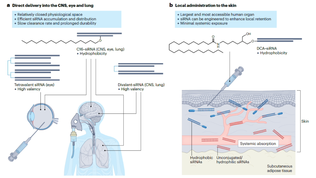 Nature：一篇6000字「RNAi疗法」报告医药新闻-ByDrug-一站式医药资源共享中心-医药魔方