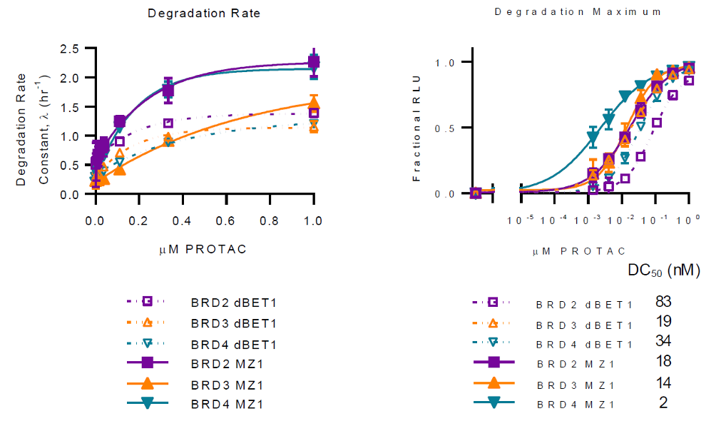 技术 | 活细胞中PROTAC和分子胶靶向降解的实时监测方法医药新闻-ByDrug-一站式医药资源共享中心-医药魔方