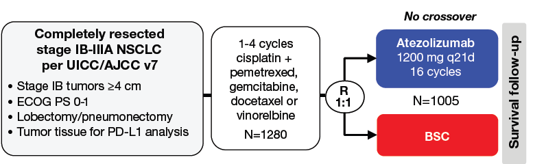 IMpower010亚洲人群OS数据强势登陆，助力早期肺癌患者长生存医药新闻-ByDrug-一站式医药资源共享中心-医药魔方