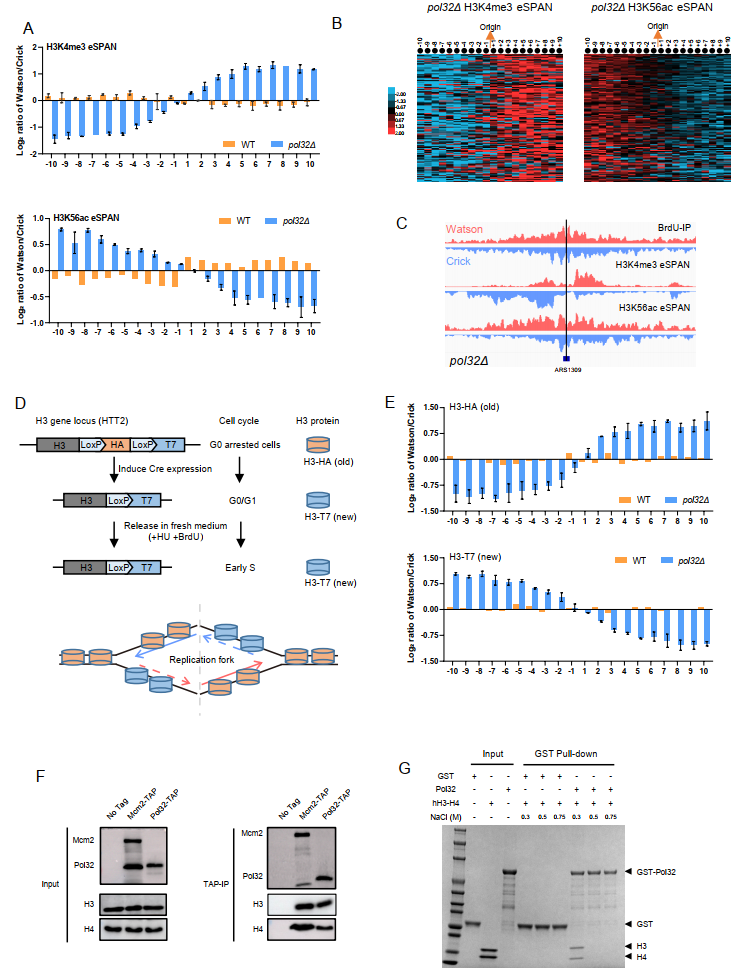 PNAS & NAR | 完成！DNA复制偶联亲代组蛋白回收的“最后一块拼图”医药新闻-ByDrug-一站式医药资源共享中心-医药魔方