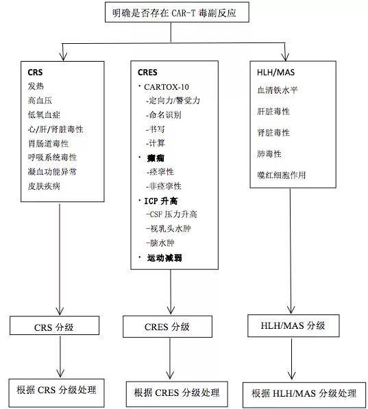 【会议回顾】梁爱斌教授：CAR-T治疗在血液恶性肿瘤领域中方兴未艾医药新闻-ByDrug-一站式医药资源共享中心-医药魔方