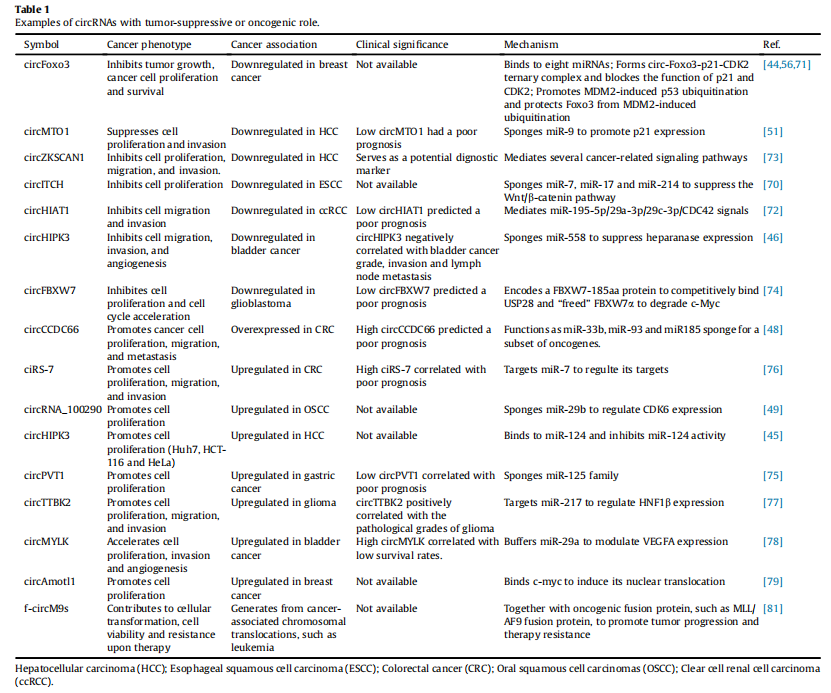 下一代重磅药物？全球首个环状RNA药物获FDA临床试验许可医药新闻-ByDrug-一站式医药资源共享中心-医药魔方