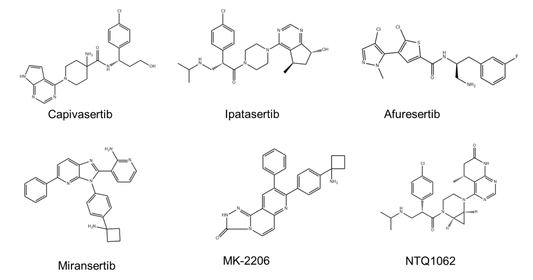 GSK、诺华交棒后，来凯医药泛AKT抑制剂III期临床失败医药新闻-ByDrug-一站式医药资源共享中心-医药魔方