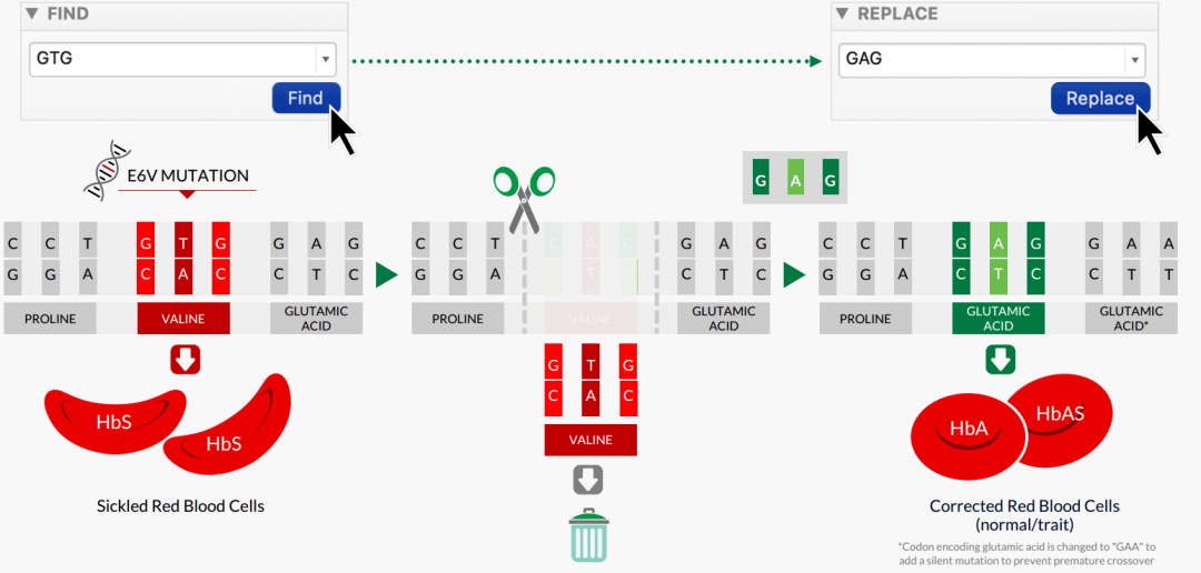 从IPO到卖身，一家基因编辑Biotech的谢幕医药新闻-ByDrug-一站式医药资源共享中心-医药魔方