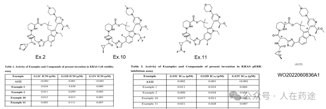 AACR24 | RMC-6236结构正式公开，那些年它的follower们医药新闻-ByDrug-一站式医药资源共享中心-医药魔方