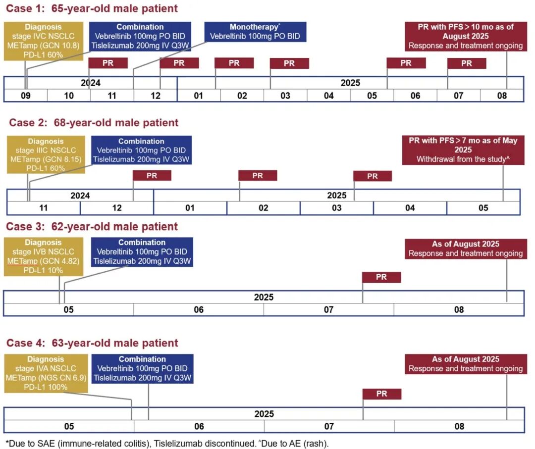 [2025 WCLC] 鞍石生物科技万比锐®四项MET异常临床研究亮相壁报展示！医药新闻-ByDrug-一站式医药资源共享中心-医药魔方