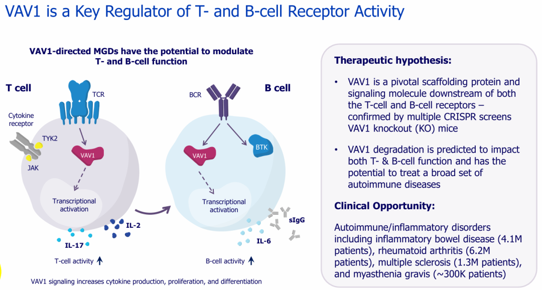 22.5亿美元！诺华引进一款靶向VAV1分子胶降解剂医药新闻-ByDrug-一站式医药资源共享中心-医药魔方