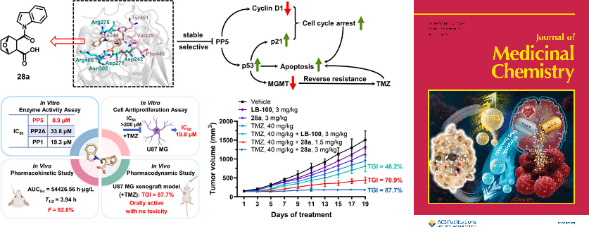 专访中国药科大学王磊 | 靶向分子伴侣复合物体系：突破传统局限，开发潜力FIC药物医药新闻-ByDrug-一站式医药资源共享中心-医药魔方