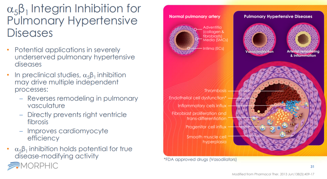 32亿美元！礼来收购Morphic，持续进军炎症性肠病领域医药新闻-ByDrug-一站式医药资源共享中心-医药魔方