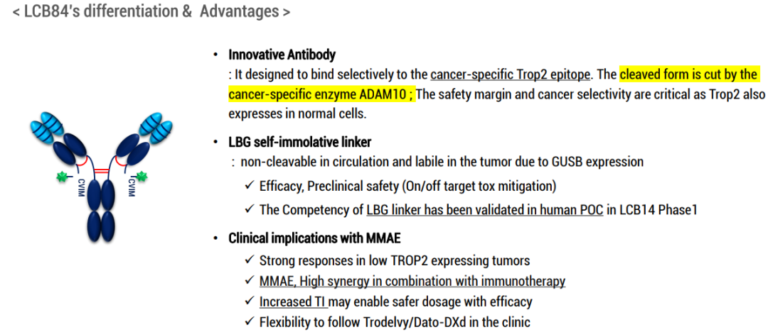 17亿美元！强生引进一款Trop2 ADC新药医药新闻-ByDrug-一站式医药资源共享中心-医药魔方