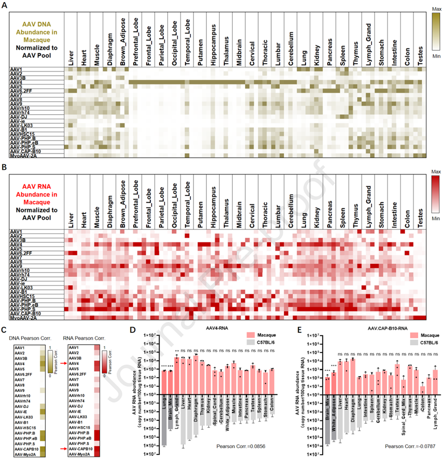 技术前沿 | Barcode-seq高通量AAV血清型筛选：从 C57BL/6、BALB/c 小鼠到食蟹猴医药新闻-ByDrug-一站式医药资源共享中心-医药魔方