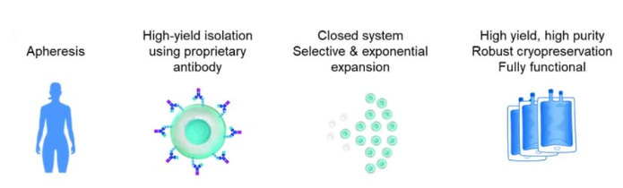 新一代细胞免疫疗法iNKT及其工艺流程解析医药新闻-ByDrug-一站式医药资源共享中心-医药魔方
