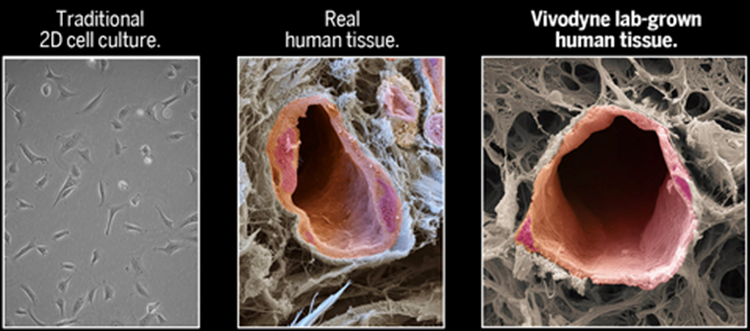 新锐！3800万美元种子轮融资，利用类器官和AI开发新药医药新闻-ByDrug-一站式医药资源共享中心-医药魔方