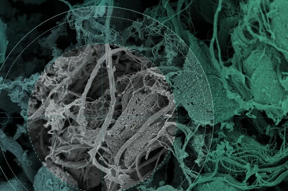 S²CUBE丨瑞士生物科技公司Tandem Therapeutics研发专门针对纤维化基质的新型肽药物偶联物，靶向细胞外基质变化医药新闻 ...