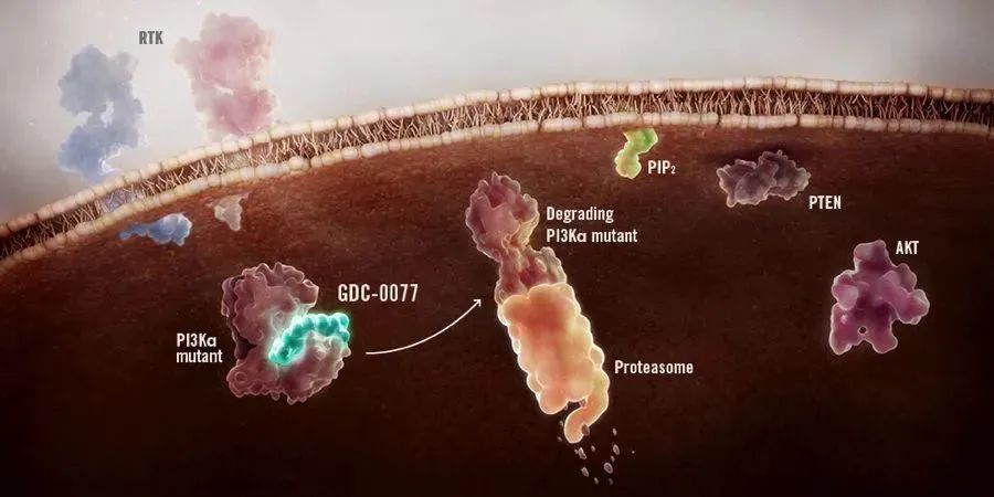 高选择性PI3K抑制剂获中国突破性治疗认定，开启激素受体阳性乳腺癌精准治疗新时代！医药新闻-ByDrug-一站式医药资源共享中心-医药魔方