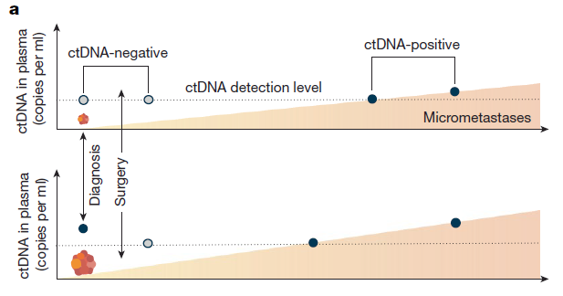 涉及结直肠癌、乳腺癌、肺癌……Nature发布ctDNA辅助肿瘤临床决策的实用性建议医药新闻-ByDrug-一站式医药资源共享中心-医药魔方