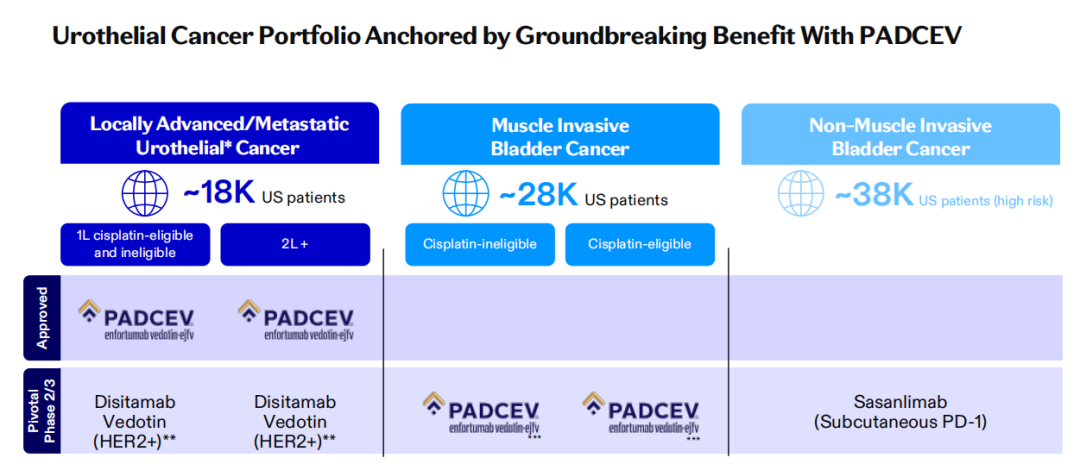辉瑞：吞掉Seagen后，是如何消化的医药新闻-ByDrug-一站式医药资源共享中心-医药魔方