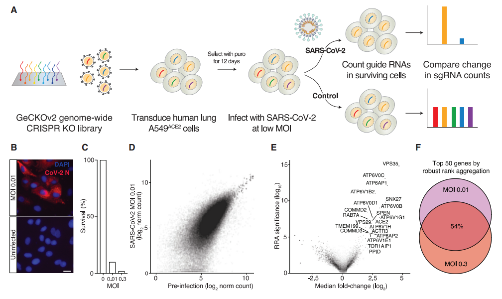 单细胞CRISPR筛选：探索基因功能和细胞异质性的利器医药新闻-ByDrug-一站式医药资源共享中心-医药魔方