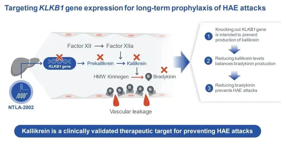 mRNA-LNP体内基因编辑疗法挺进3期临床医药新闻-ByDrug-一站式医药资源共享中心-医药魔方