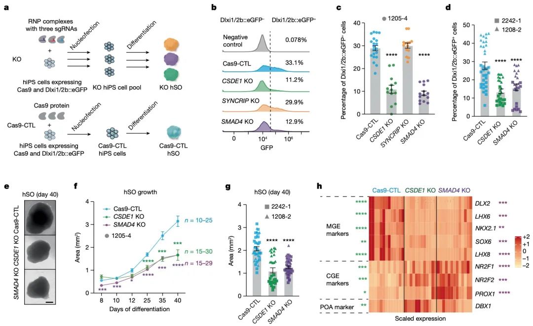 微量基因组DNA抽提——为CRISPR文库筛选赋能升级医药新闻-ByDrug-一站式医药资源共享中心-医药魔方